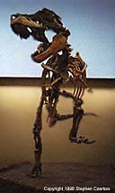 Dinosaur Museum | Blanding Utah